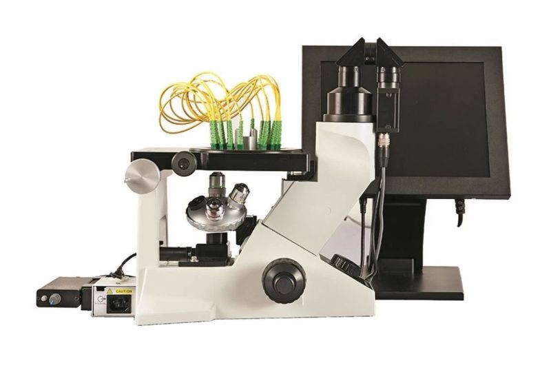 Microscopio digital Domaille OptiSpec® 100x, 200x y 400x (visualización ...